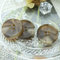 Hot Sale Round Resin Garment Suit Coat Button With Various size